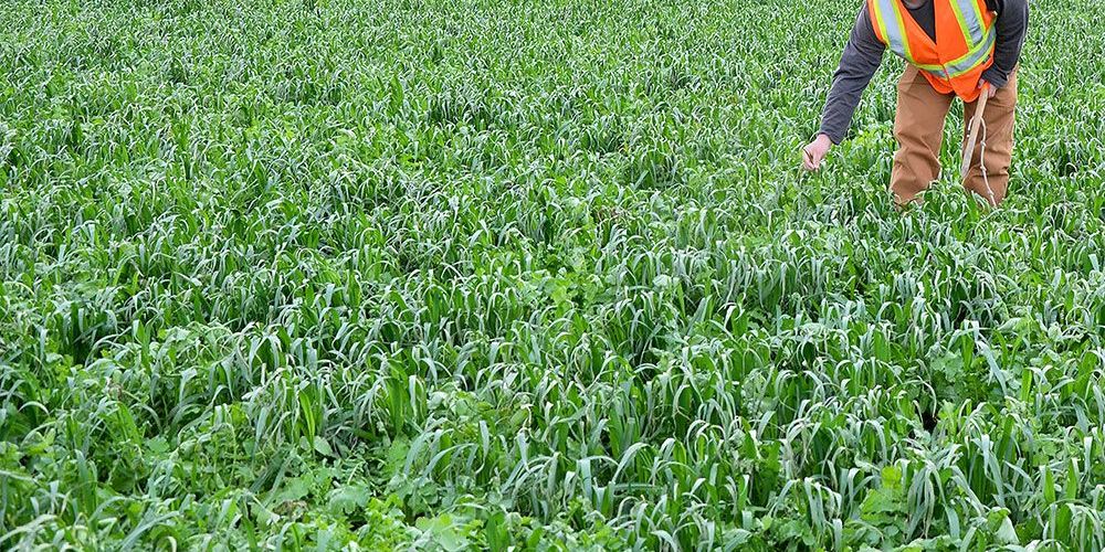 Ausable Bayfield Conservation Authority